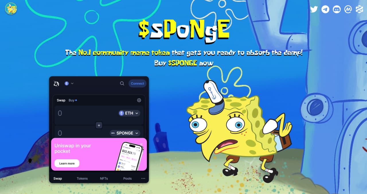 Exploring the Potential of SPONGE: A Deep Dive into the Latest Craze in ...