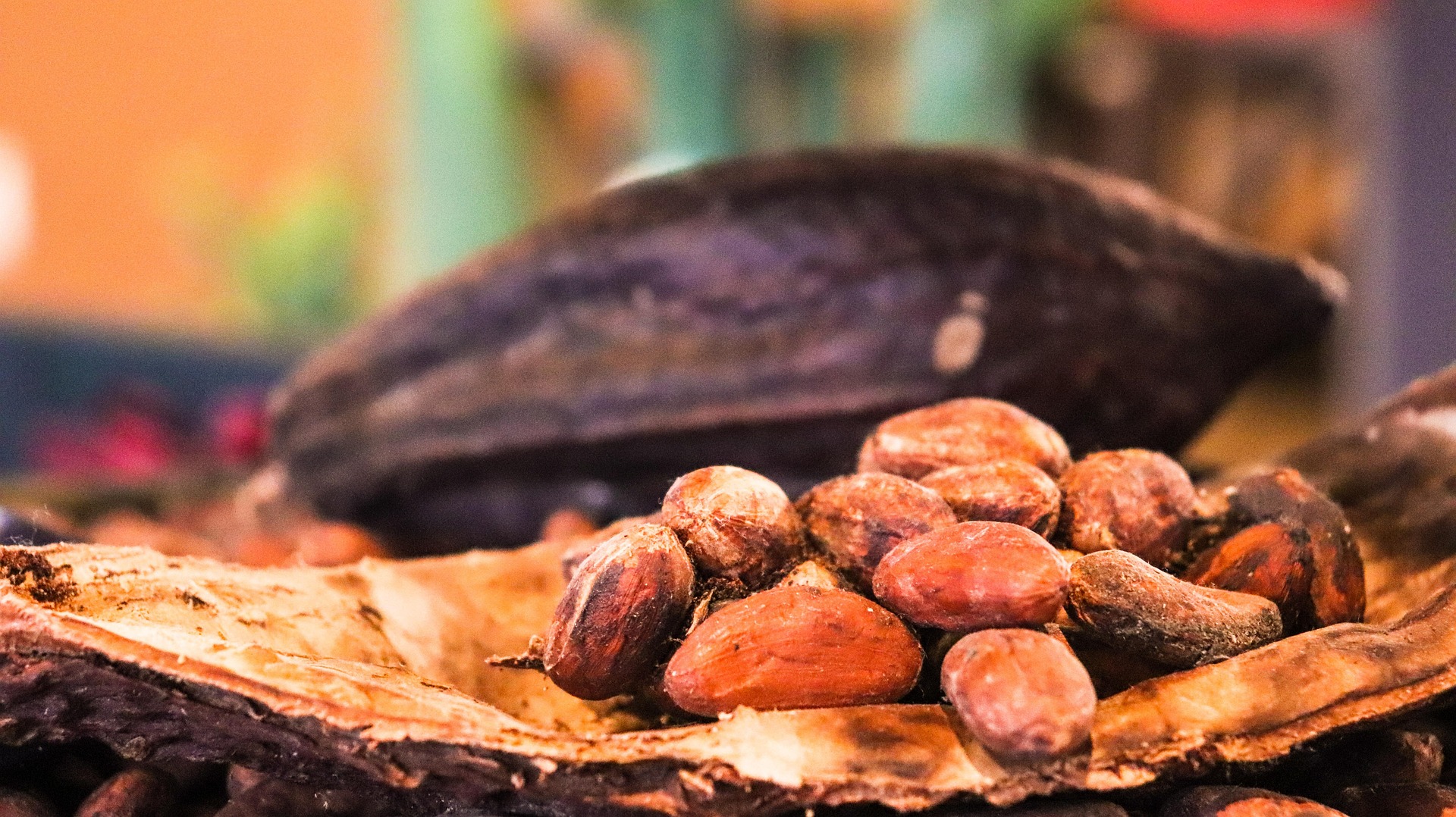 Cocoa Prices Soar After Historic Inclusion in Bloomberg Commodity Index